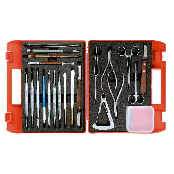 Deluxe Dental Instruments Set