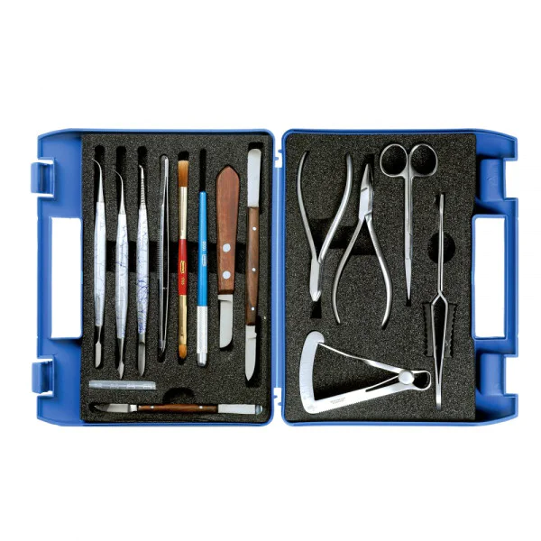 Standard Dental Instruments Set